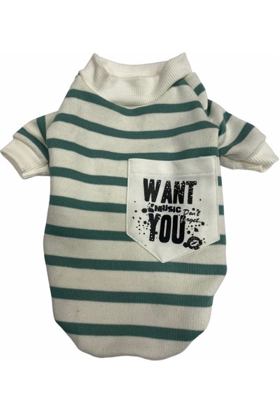 Hepsipatili Yeşil Beyaz Çizgili Sweatshirt