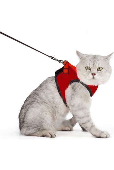 Bypet Kaçış Önleyici Kedi Gezdirme Tasması -Reflektörlü Kedi & Köpek Göğüs Tasması L- Kırmızı Bypet Kaçış Önleyici Kedi Gezdirme Tasması -Reflektörlü Kedi & Köpek Göğüs Tasması L- Kırmızı