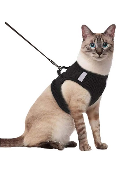 Bypet Kaçış Önleyici Kedi Gezdirme Tasması -Reflektörlü Kedi & Köpek Göğüs Tasması S - Siyah Bypet Kaçış Önleyici Kedi Gezdirme Tasması -Reflektörlü Kedi & Köpek Göğüs Tasması S - Siyah