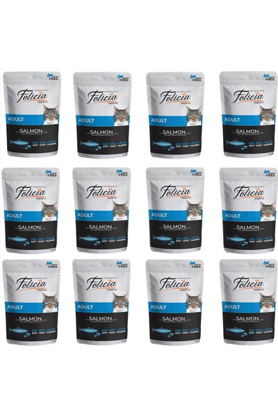 Felicia Tahılsız Somon Balıklı Yetişkin Kedi Yaş Maması 85 gr x 12 Adet Felicia Tahılsız Somon Balıklı Yetişkin Kedi Yaş Maması 85 gr x 12 Adet