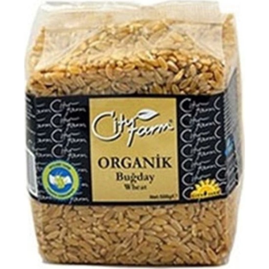 City Farm Organık Bugday 500 gr Fiyatı - Taksit Seçenekleri