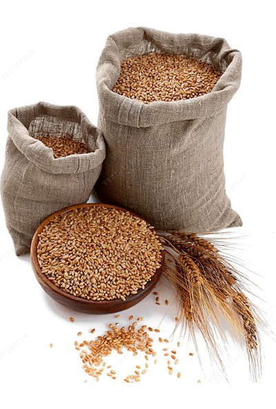 Mutlu Tavukçuluk Buğday 5 Kğ Yem Güvercin Yemi Tavuk Kumru Hindi Civciv Kaz Kuş Yumurtacı Yumurta Bıldırcın Keklik