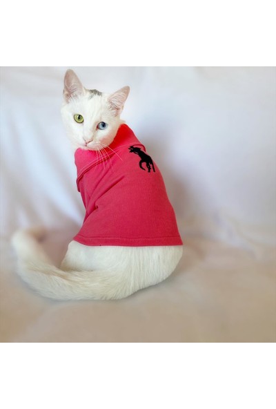 Kemique Rl Pink Navy Polo Yaka Tişört Kedi Kıyafeti Kedi Elbisesi