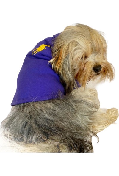 Kemique Rl Purple Yellow Polo Yaka Tişört Köpek Kıyafeti Köpek Elbisesi Kemique Rl Purple Yellow Polo Yaka Tişört Köpek Kıyafeti Köpek Elbisesi