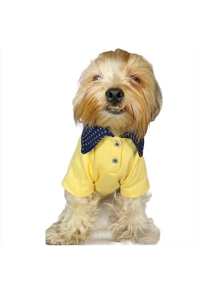Kemique Gentleman Fb Polo Yaka Tişört Köpek Kıyafeti Köpek Elbisesi Kemique Gentleman Fb Polo Yaka Tişört Köpek Kıyafeti Köpek Elbisesi