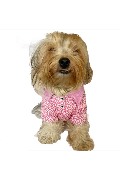 Kemique Pink Leo Cutie Polo Yaka Tişört Köpek Kıyafeti Köpek Elbisesi Kemique Pink Leo Cutie Polo Yaka Tişört Köpek Kıyafeti Köpek Elbisesi