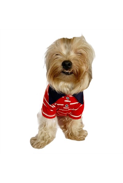 Kemique Red Stripe Elegance Polo Yaka Tişört Köpek Kıyafeti Köpek Elbisesi Kemique Red Stripe Elegance Polo Yaka Tişört Köpek Kıyafeti Köpek Elbisesi