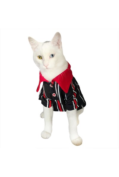 Kemique Red Black White Striped Polo Yaka Tişört Kedi Kıyafeti Kedi Elbisesi Kemique Red Black White Striped Polo Yaka Tişört Kedi Kıyafeti Kedi Elbisesi