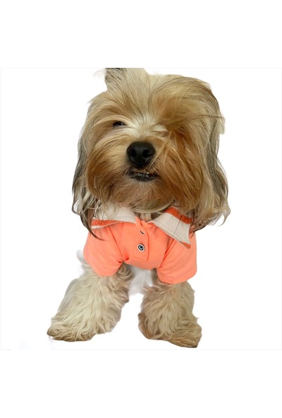 Kemique Salmon Flash Polo Yaka Tişört Köpek Kıyafeti Köpek Elbisesi