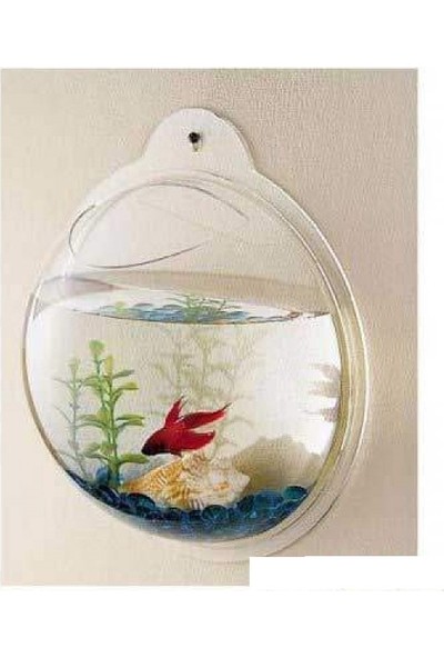 OEM Duvara Asmalı Beta ve Japon Akvaryumu 22 cm