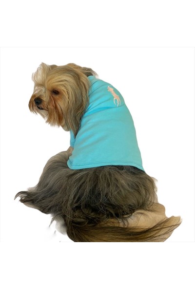 Kemique Rl Baby Blue White Polo Yaka Tişört Köpek Kıyafeti Köpek Elbisesi Kemique Rl Baby Blue White Polo Yaka Tişört Köpek Kıyafeti Köpek Elbisesi
