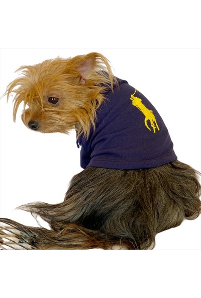 Kemique Rl Navy Yellow Polo Yaka Tişört Köpek Kıyafeti Köpek Elbisesi Kemique Rl Navy Yellow Polo Yaka Tişört Köpek Kıyafeti Köpek Elbisesi