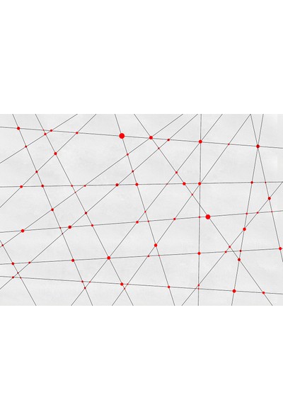 Moda Duvar Geometrik Desenler Vinil Duvar Kağıdı Tutkal Hediyeli Moda Duvar Geometrik Desenler Vinil Duvar Kağıdı Tutkal Hediyeli