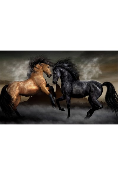 Moda Duvar Siyah ve Kahverengi Iki Şahlanmış At Vinil Duvar Kağıdı Tutkal Hediyeli