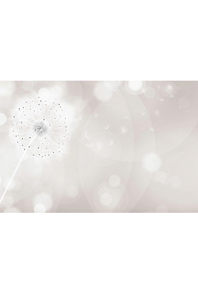 Moda Duvar Vintage Gri Zemin Üzeri Beyaz Hindiba Vinil Duvar Kağıdı Tutkal Hediyeli