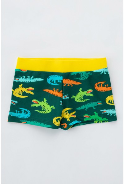 Penti Çok Renkli Erkek Çocuk Crocodile Mayo