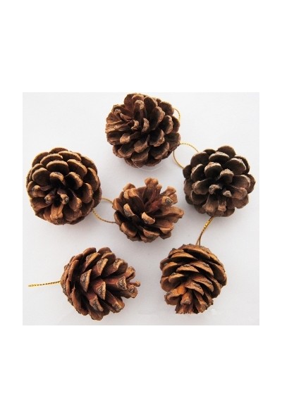 Parti Dünyası Kozalak Çam Süsü 6 Adet 6 Cm