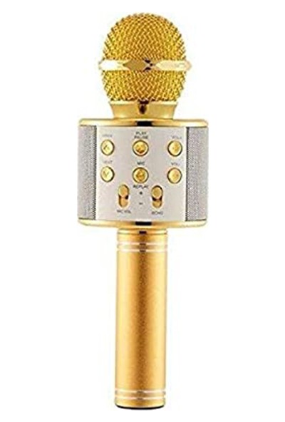 Polygold PG-116 WS858 Karaoke Mikrofon ve Bulutut Speaker Polygold PG-116 WS858 Karaoke Mikrofon ve Bulutut Speaker