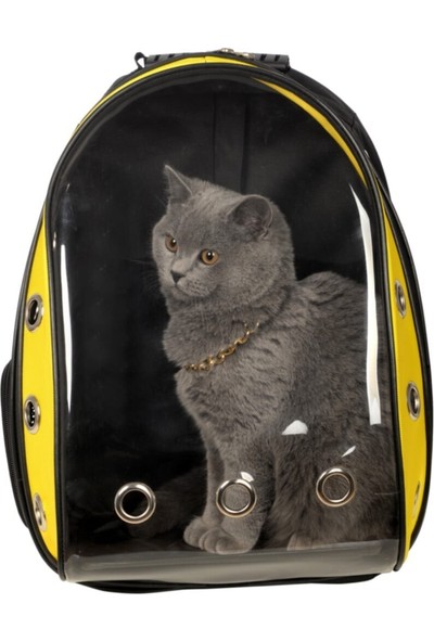 Es-Se Ticaret Şeffaf Astronot Kırılmaz Kedi Köpek Taşıma Çantası 42 x 22 x 33 cm - Sarı