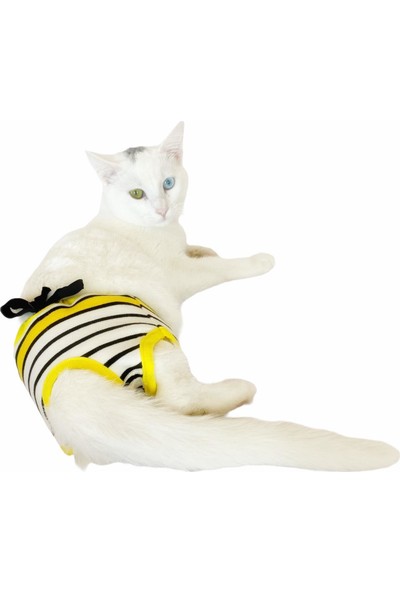 Kemique Bee Colours Kemique's Secret Kedi Iç Çamaşırı Regl Külot Don Kemique Bee Colours Kemique's Secret Kedi Iç Çamaşırı Regl Külot Don
