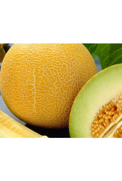 Bahçe Tohum Galia Kavun Tohumu