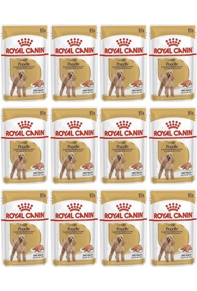 Royal Canin Poodle Tüy Sağlığı Destekleyici Yetişkin Köpek Konservesi 85GR 12 Adet Royal Canin Poodle Tüy Sağlığı Destekleyici Yetişkin Köpek Konservesi 85GR 12 Adet