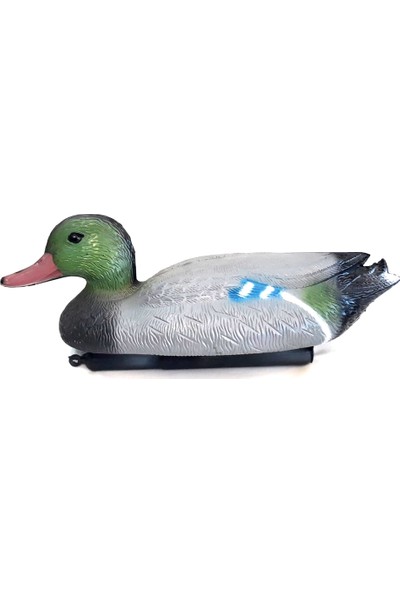 Asil Mühre Fiyo Ördek