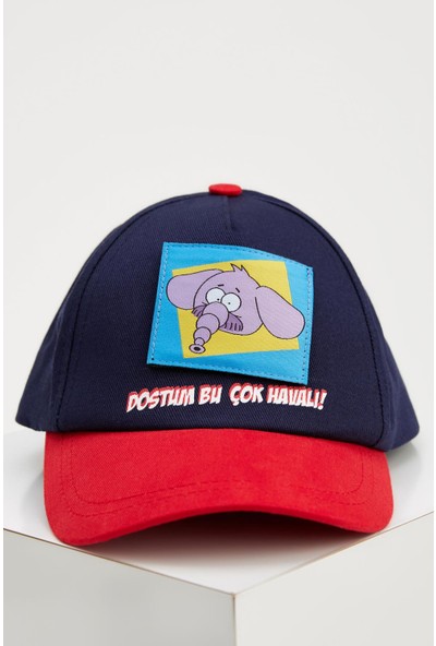 Defacto Erkek Çocuk Kral Şakir Lisanslı Baseball Şapka T8876A621SM Defacto Erkek Çocuk Kral Şakir Lisanslı Baseball Şapka T8876A621SM