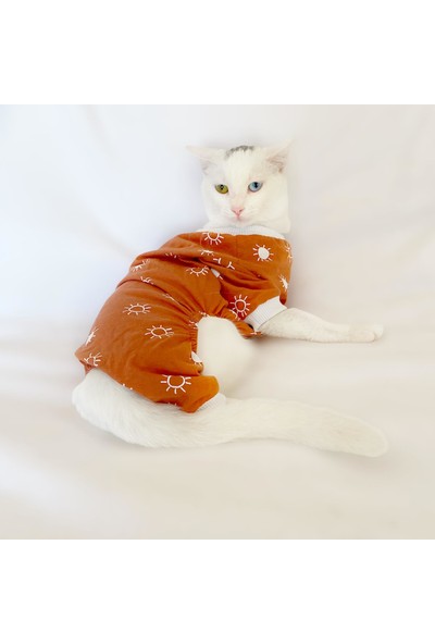 Kemique Sunny Penye Tulum Kedi Tulumu Kedi Elbisesi Kemique Sunny Penye Tulum Kedi Tulumu Kedi Elbisesi