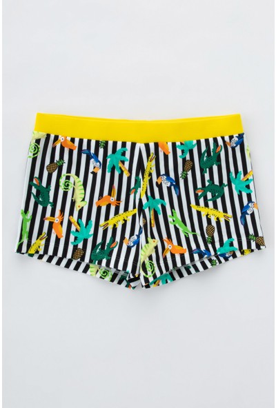 Penti Çok Renkli Erkek Çocuk Island Mayo