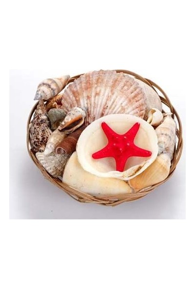 petzanya Mercan Sepeti 6\