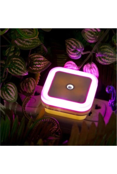 Panther PT-893 Karanlık Sensörlü Pembe Gece Lambası Panther PT-893 Karanlık Sensörlü Pembe Gece Lambası