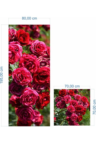 Baskı Madeni Buzdolabı Bulaşık Makinası Kapak Sticker Set Laminasyonlu Ürün