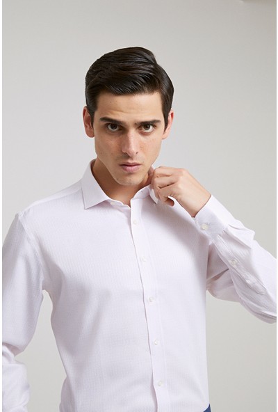 Cici Kuru Çiçek Kurutulmuş Cycas Gümüş Cici Kuru Çiçek Kurutulmuş Cycas Gümüş