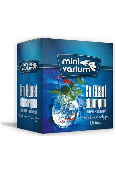 Minivarium Duvar Akvaryumu