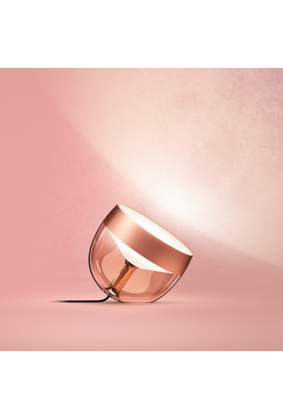 Philips Hue Iris Özel Seri - Copper