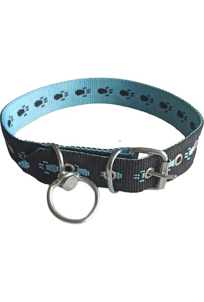Pati Patili Köpek Tasması Siyah-Mavi Pati Patili Köpek Tasması Siyah-Mavi