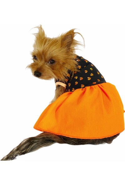 Kemique Hearts Orange Yellow Köpek Elbisesi Köpek Kıyafeti Kemique Hearts Orange Yellow Köpek Elbisesi Köpek Kıyafeti