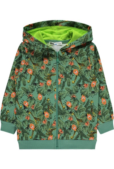 Civil Boys Erkek Çocuk Kapüşonlu Hırka 2-5 Yaş Haki