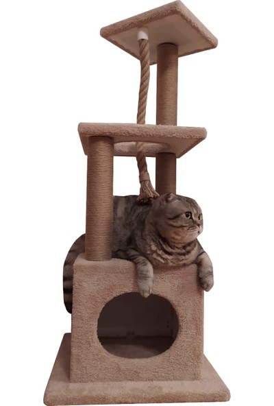 Pethome Alpi Pethomealpi Kedi Tırmalama Evi ve Oyun Platformu %100 Müşteri Memnuniyeti Pethome Alpi Pethomealpi Kedi Tırmalama Evi ve Oyun Platformu %100 Müşteri Memnuniyeti