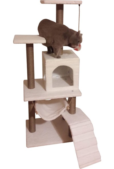 Pethome Alpi Pethomealpi Kedi Evi ve Tırmalama %100 Müşteri Memnuniyeti Pethome Alpi Pethomealpi Kedi Evi ve Tırmalama %100 Müşteri Memnuniyeti