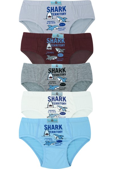 Biyokids Erkek Çocuk Külot 5'li Paket Karışık Renk Baskılı Külot Biyokids Erkek Çocuk Külot 5'li Paket Karışık Renk Baskılı Külot