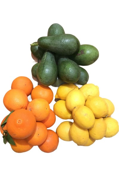 Alanya Özlem Avokado 1 kg portakal 2 kg Limon 2 kg