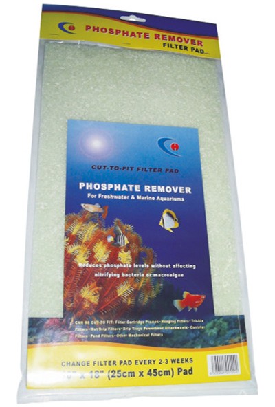 Chicos Phospate Tutucu Sünger 25X45 cm Chicos Phospate Tutucu Sünger 25X45 cm