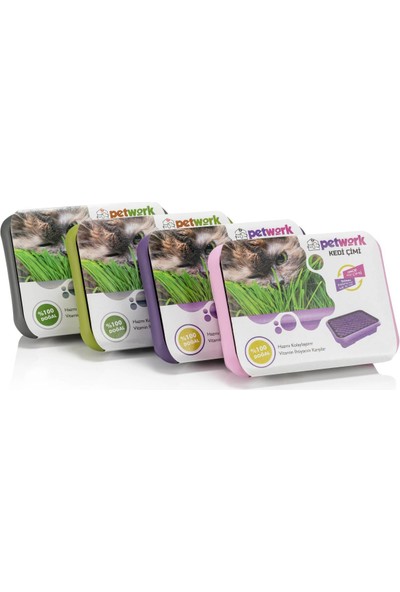 Lepus Petwork Sindirimi Rahatlatıcı Kedi Çimi