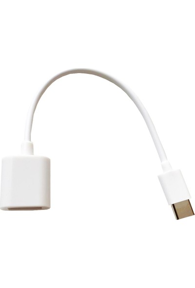 Hadron HN4519 Otg Type-C To USB 2.0 Beyaz