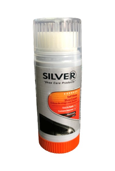 Silver Alttan Çevirmeli Kendinden Parlayan Boya Silver Alttan Çevirmeli Kendinden Parlayan Boya