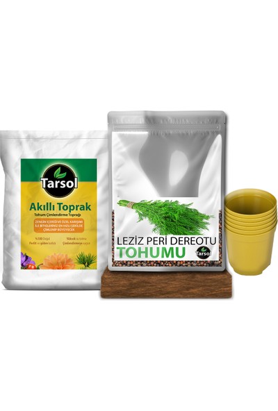 Tarsol Dereotu Tohumu 30'lu Toprak ve Saksı Seti