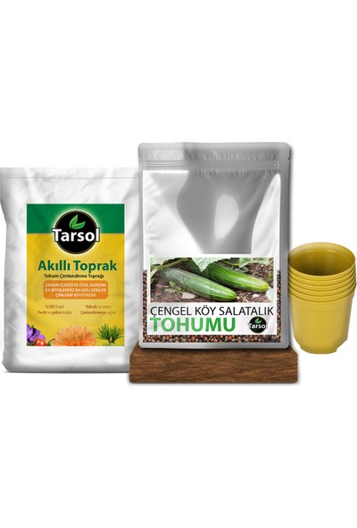 Tarsol Çengel Köy Salatalık Tohumu 30'lu Toprak ve Saksı Seti