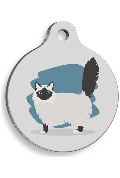 Pet Tag Art Köpek Künyesi Medium 3 cm